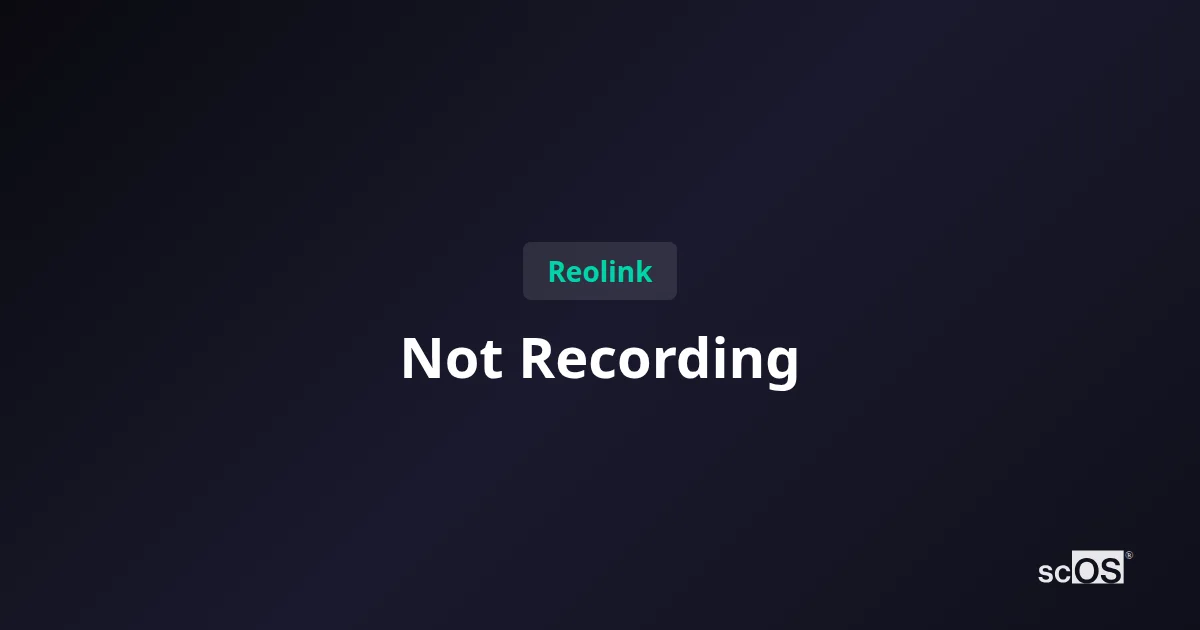Reolink Camera Not Recording? 7 Fixes That Worked